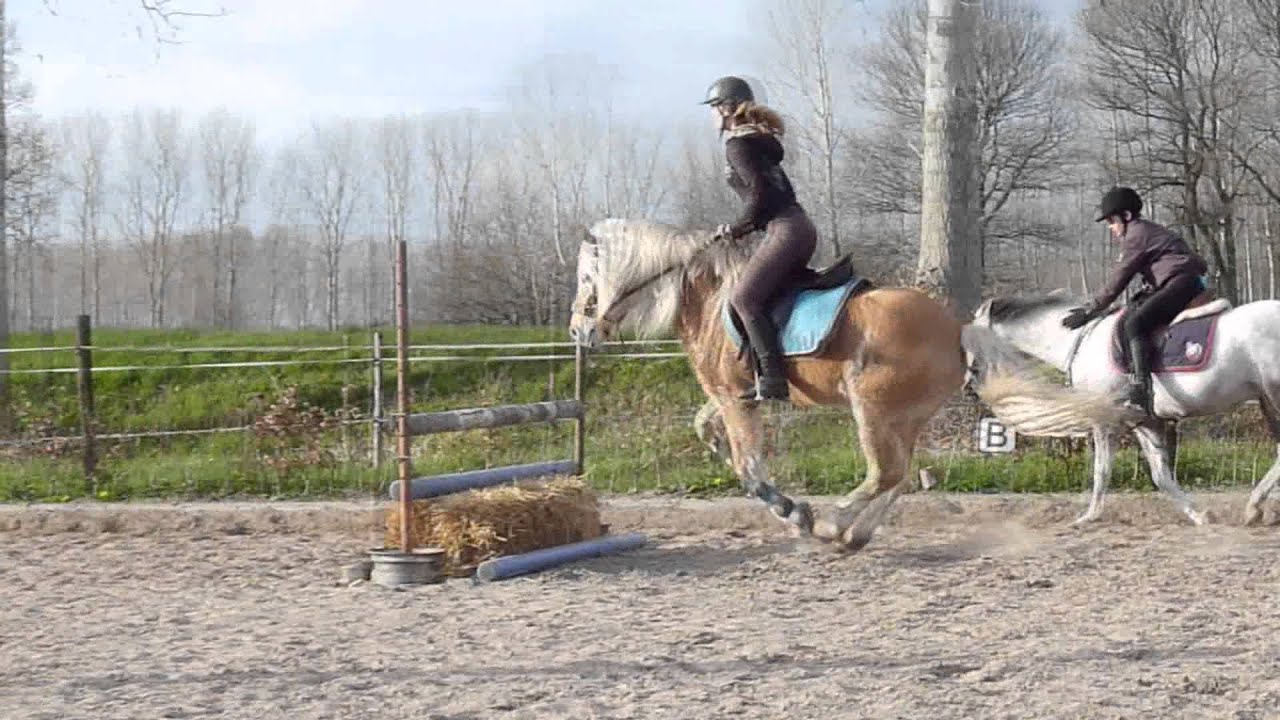 My First Jumping Lesson! (read description) - YouTube