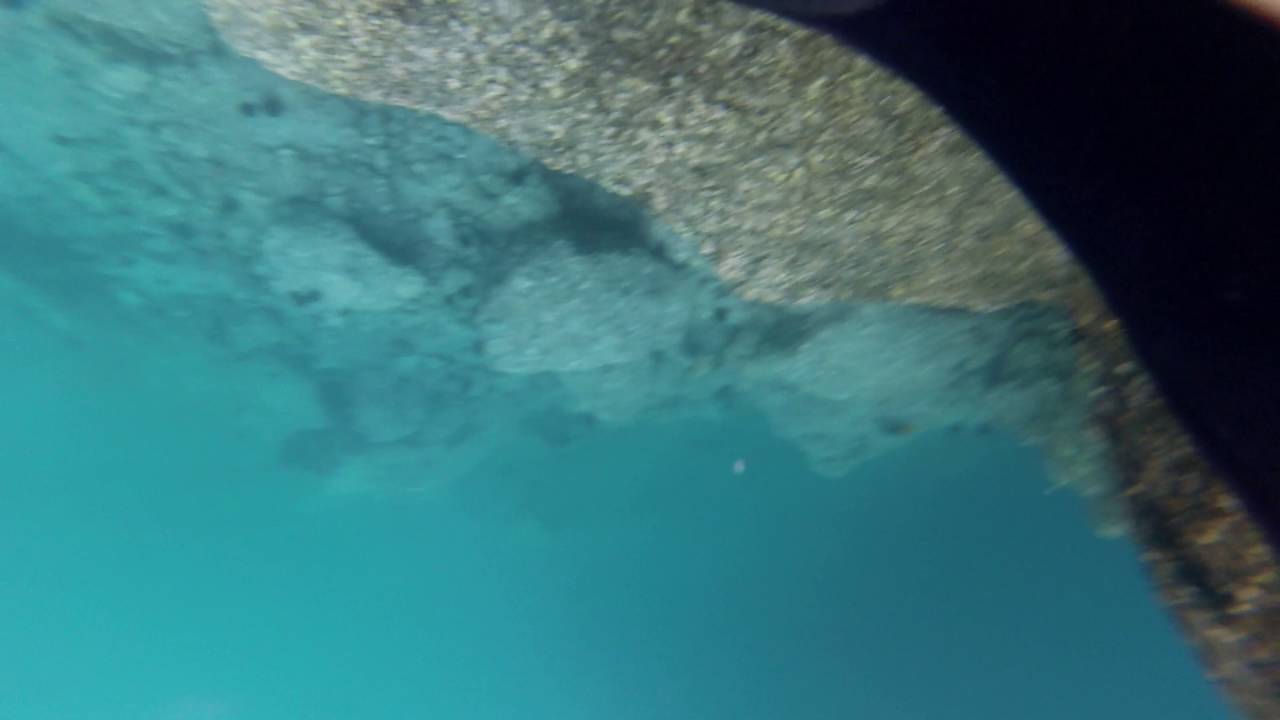 Legs in the Water...Shark? - YouTube