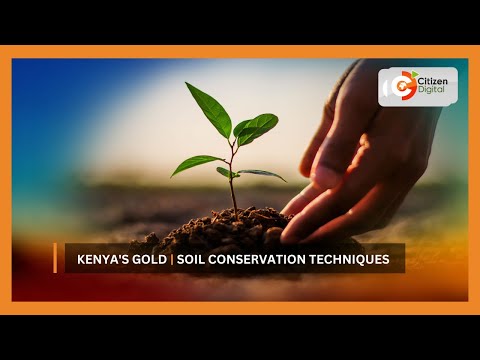 | Kenya's Gold | Soil Conservation Techniques - Gold feature - YouTube