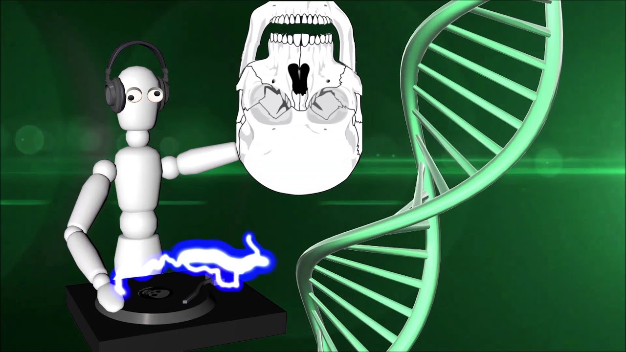 Cells - Best Science Rap Song! - YouTube