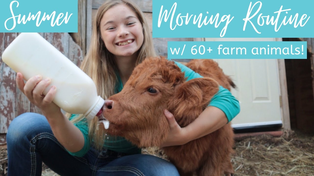 My Summer Morning Routine on a Farm! 2021 - YouTube