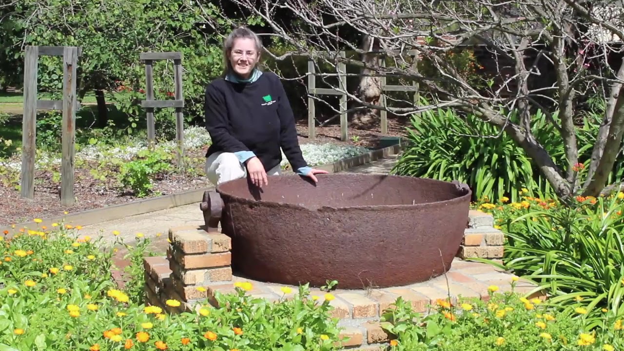 Plant Facts - Try Pot - YouTube