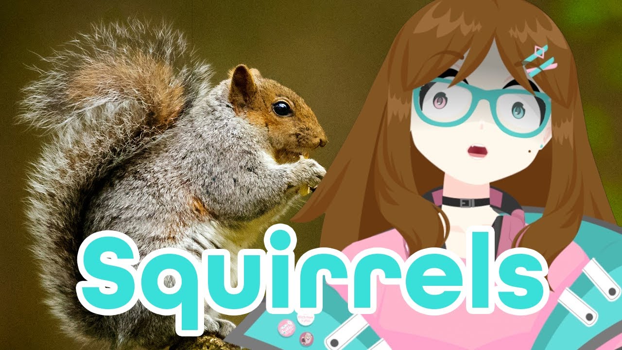 This Vtuber has a problem with Squirrels? - YouTube