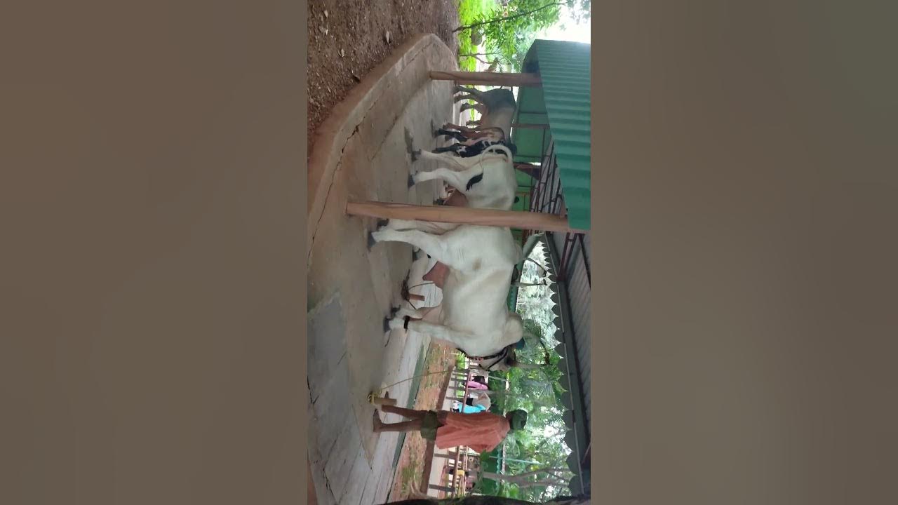 March 2, 2025 - YouTube