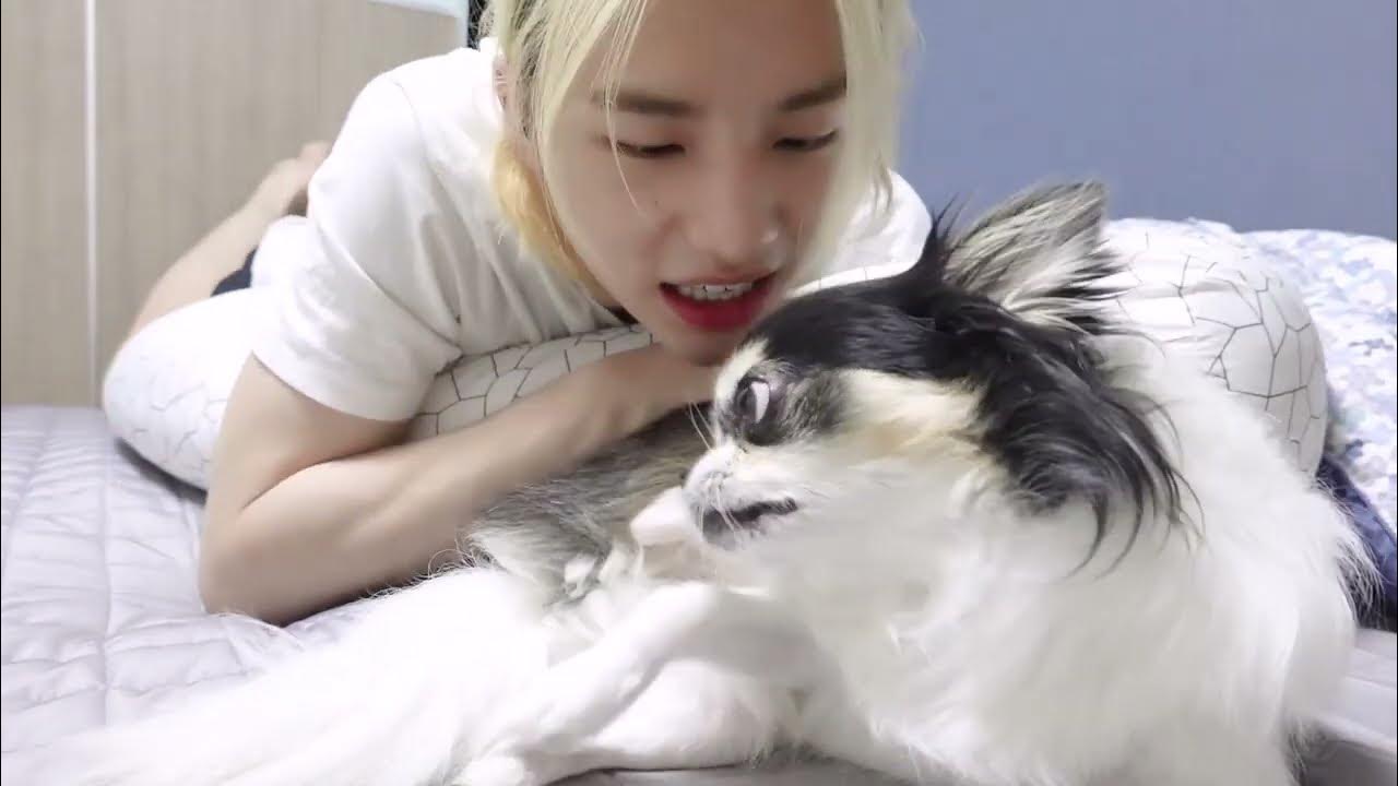 [SUBS] SKZ VLOG Hyunjin ; Hyun e's Holiday with Kkami 2 - 201210 - YouTube