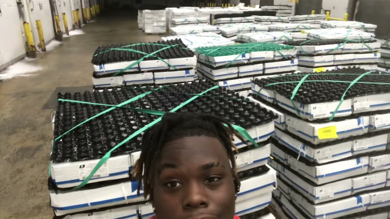 A day in life of a cold storage worker - YouTube