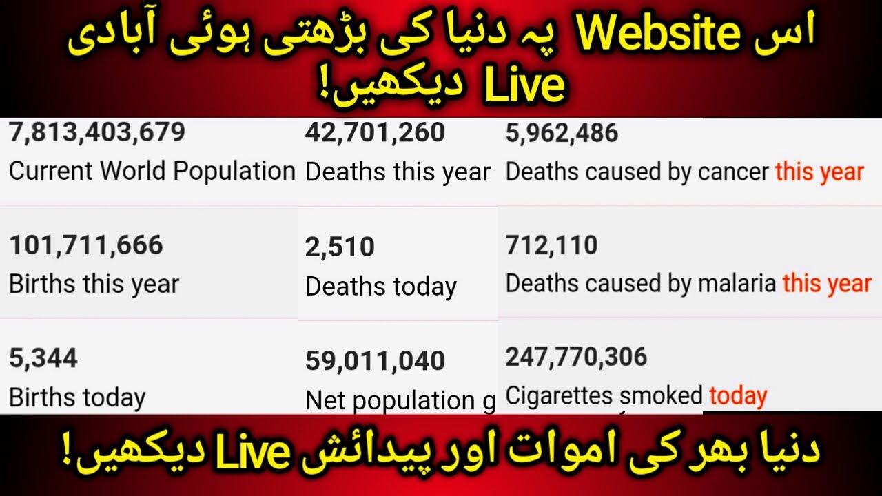 Watch The World's Growing Population Live | How Many People Died And ...
