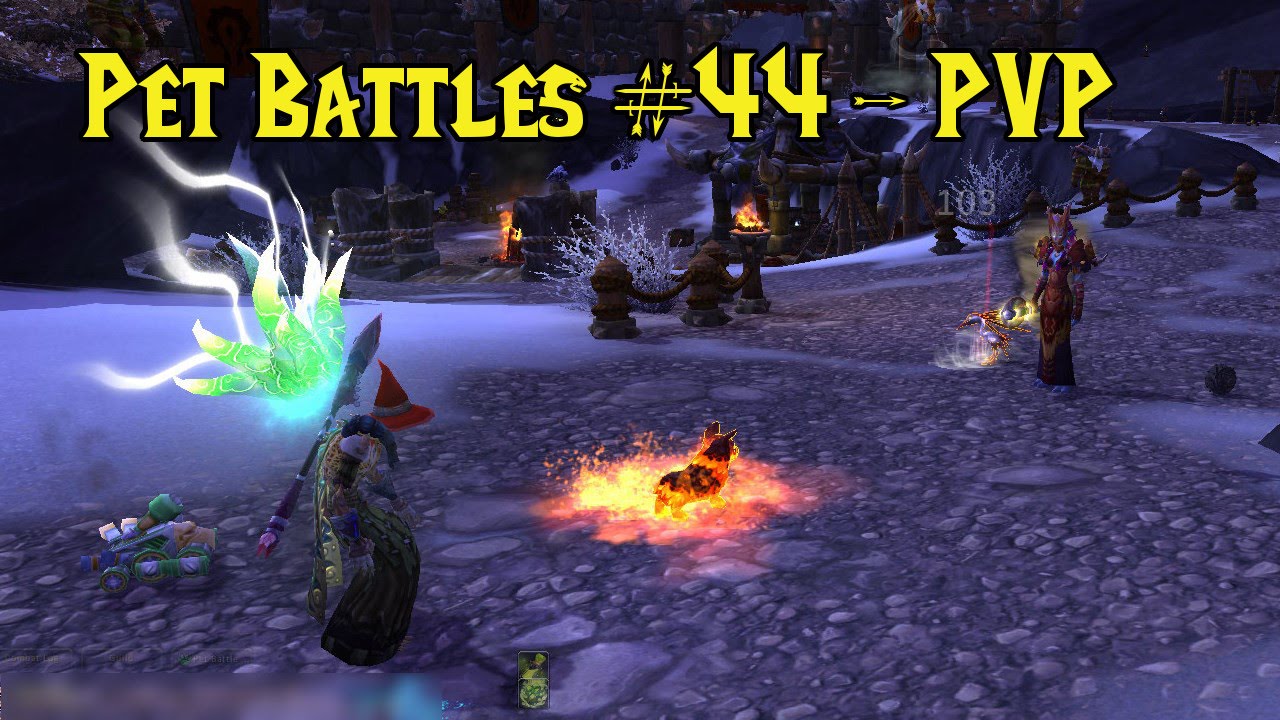 WoW - Pet Battles 44 - PVP with the Molten Corgi - YouTube