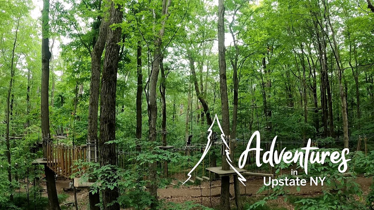 Swing like Tarzan through the trees at Bristol Mountain Aerial ...