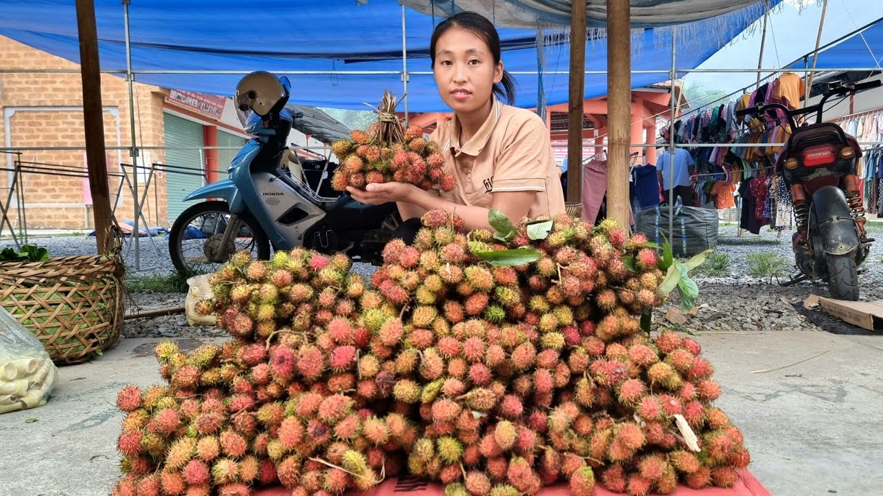 Harvesting forest rambutan goes to the market sell - YouTube