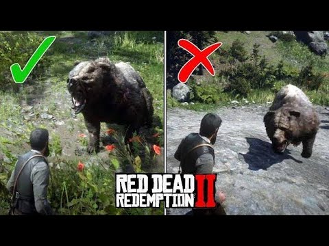 Red Dead Redemption 2 Bear Attack - how to survive bear attack - YouTube