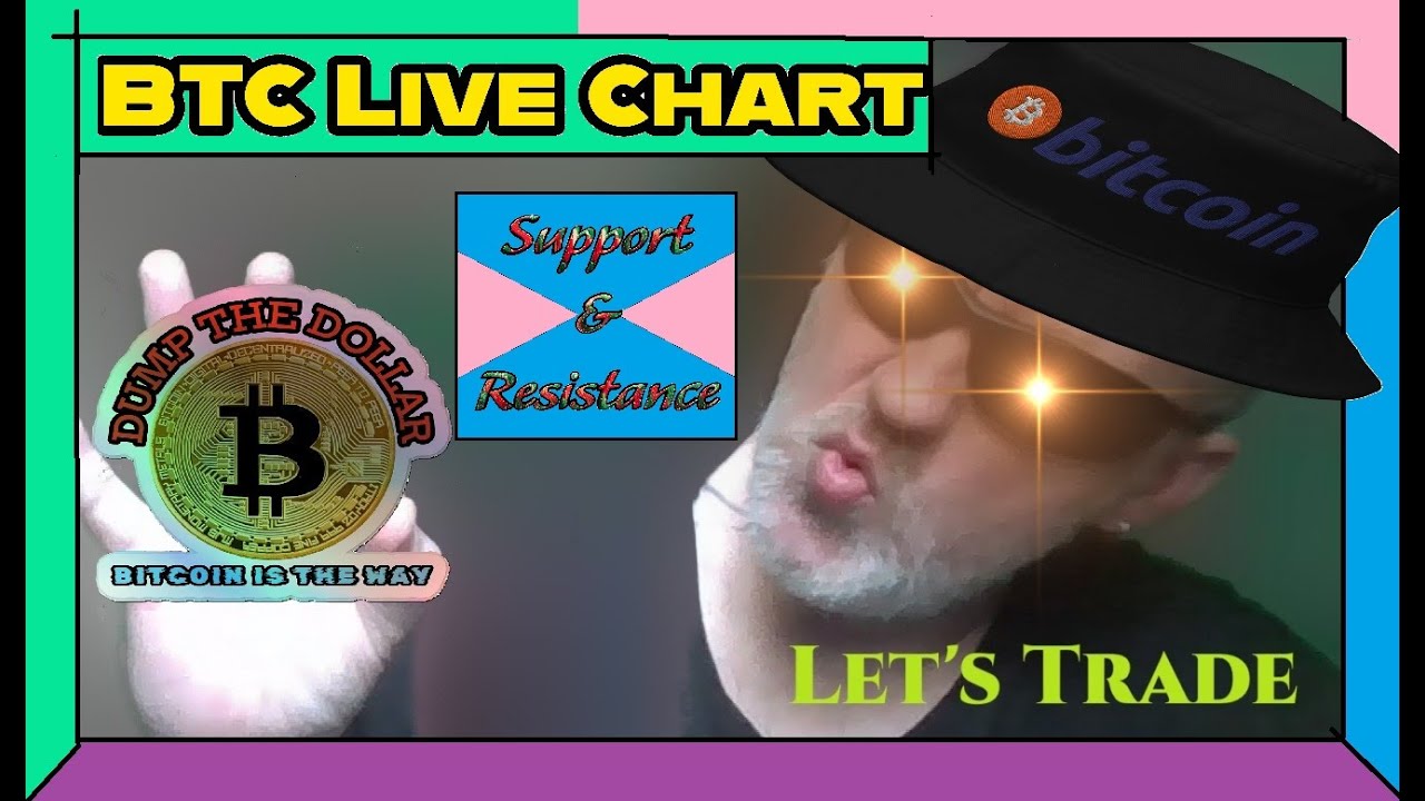 LIVE Bitcoin BTC Chart Graph w/ Indicator Signals 5 min Candles Crypto ...