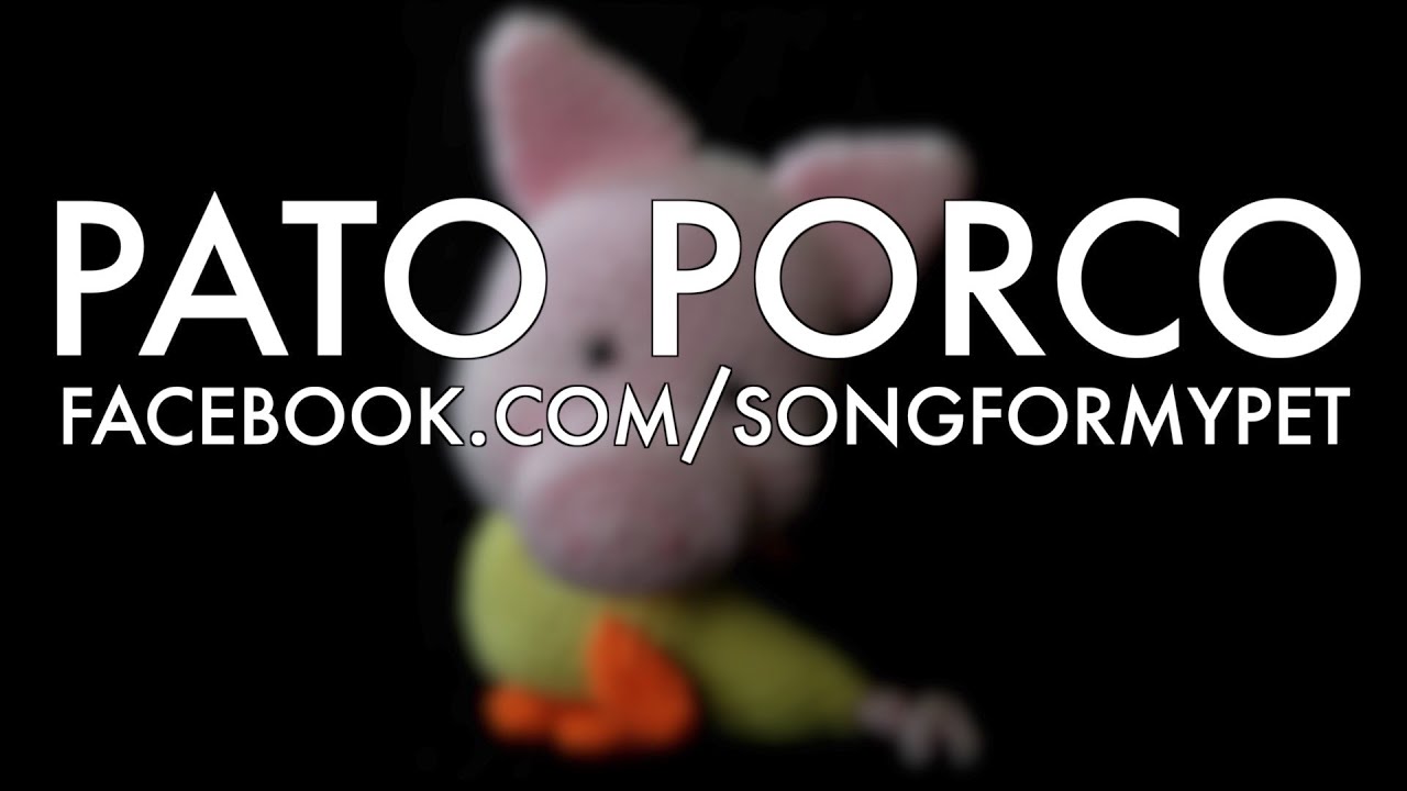 "Pato Porco" - He's a little bit duck & a little bit pig (Kids TV Theme ...