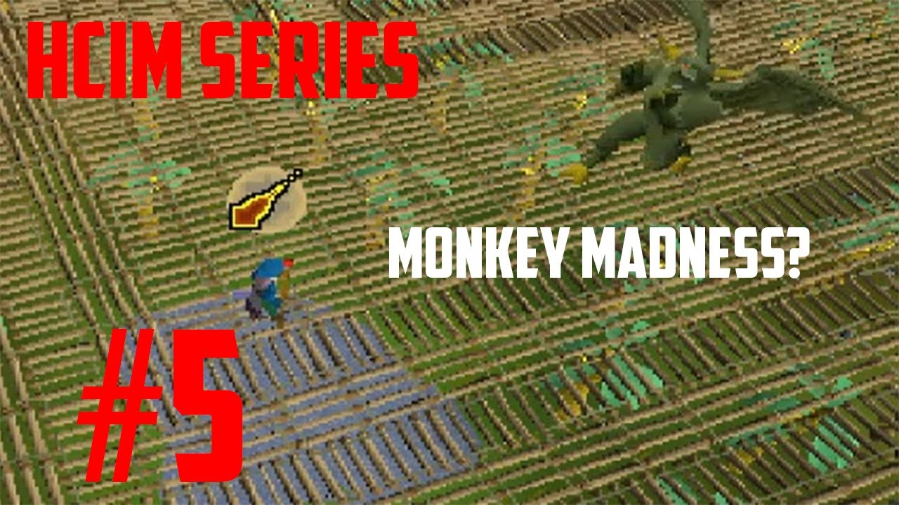 OSRS HCIM Series (Monkey madness???) - Ep #5 - YouTube