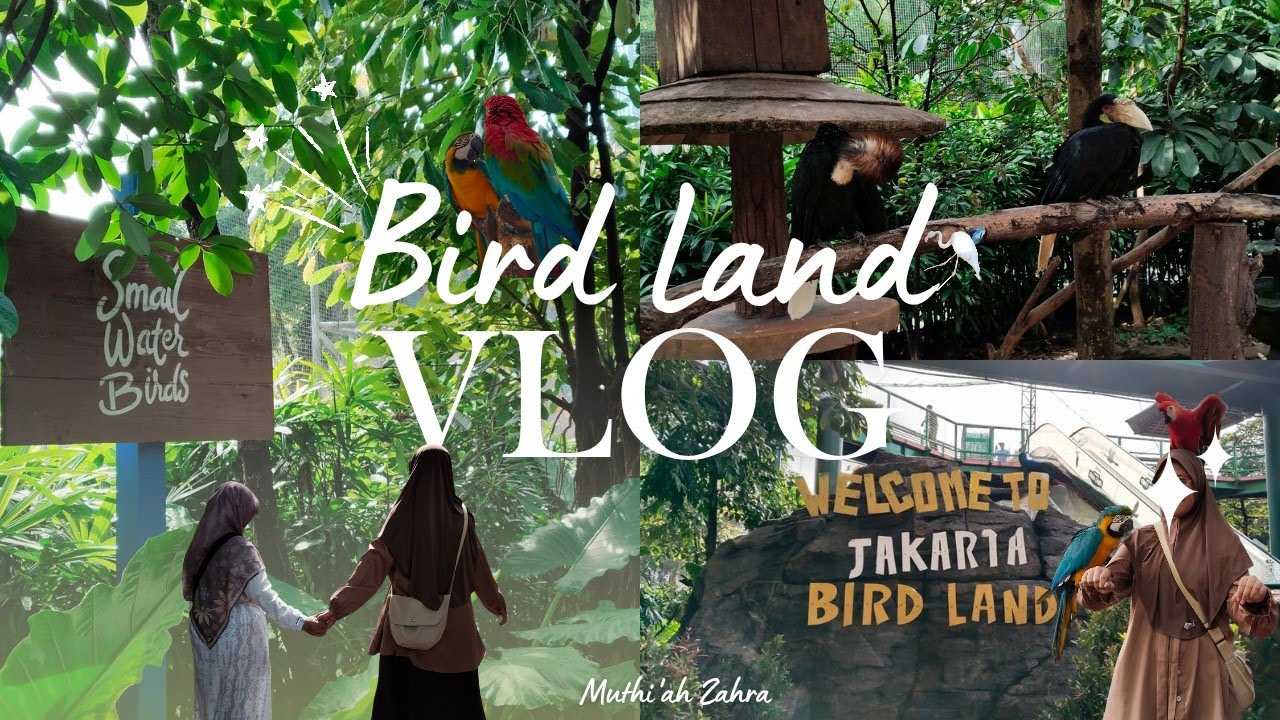 Jakarta Bird Land Ancol Vlog - YouTube