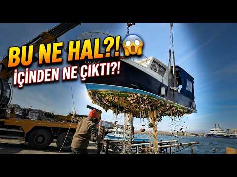 Denizden Çıkardık… ALTINDAN ÇIKANA İNANAMADIK! 😱 | Yat Temizliği