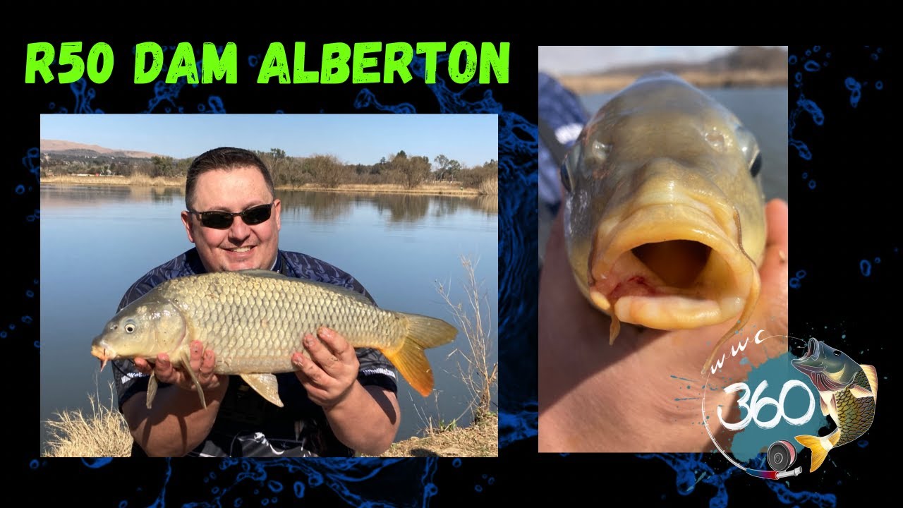 R50 Dam Fishing, Alberton S2,Ep18 - YouTube
