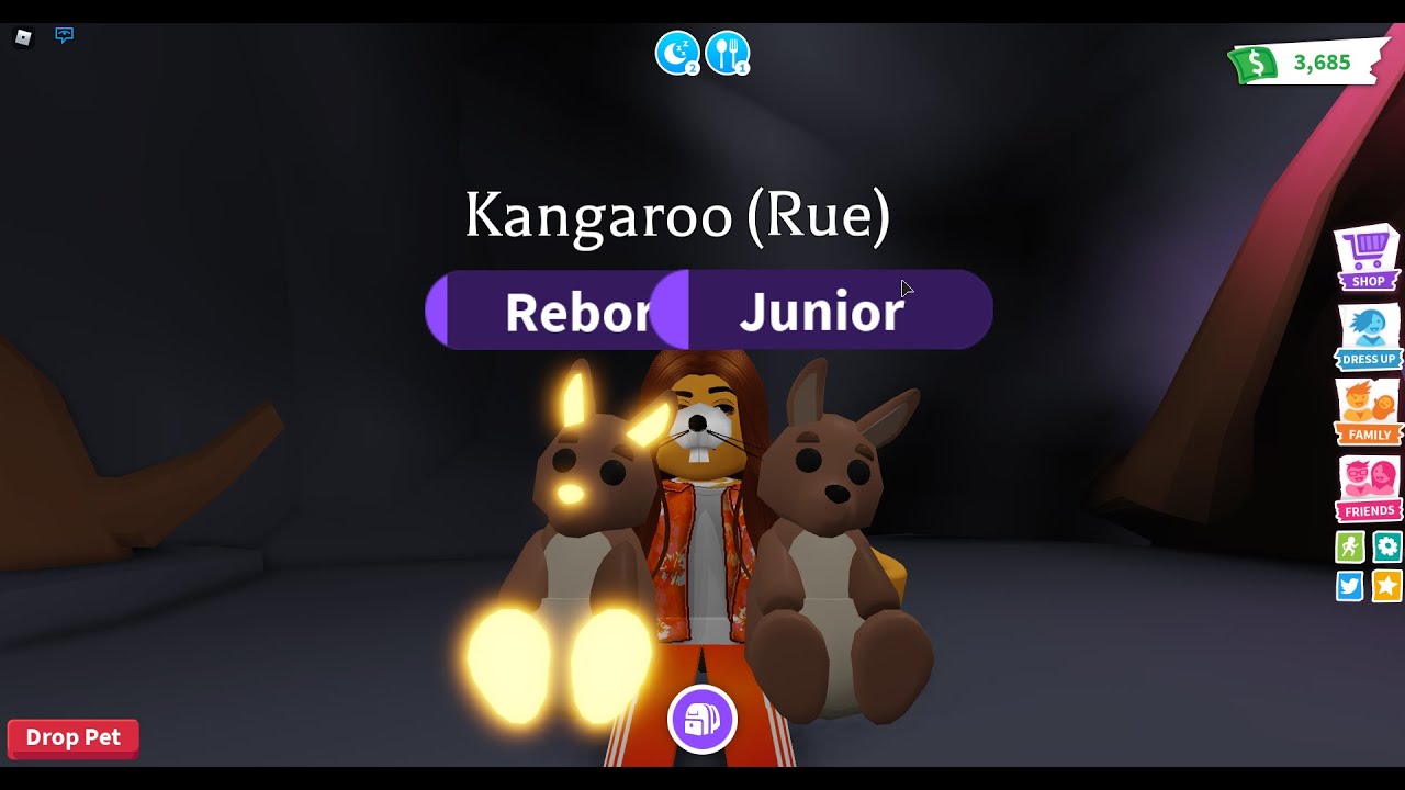 Lily makes her dream pet~neon kangaroo! (Adopt me) - YouTube