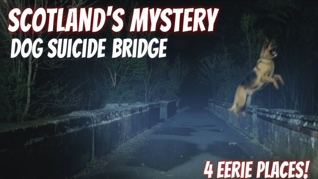 The Dog Suicide Bridge in Scotland & 4 Most Bizarre Mysterious Places ...