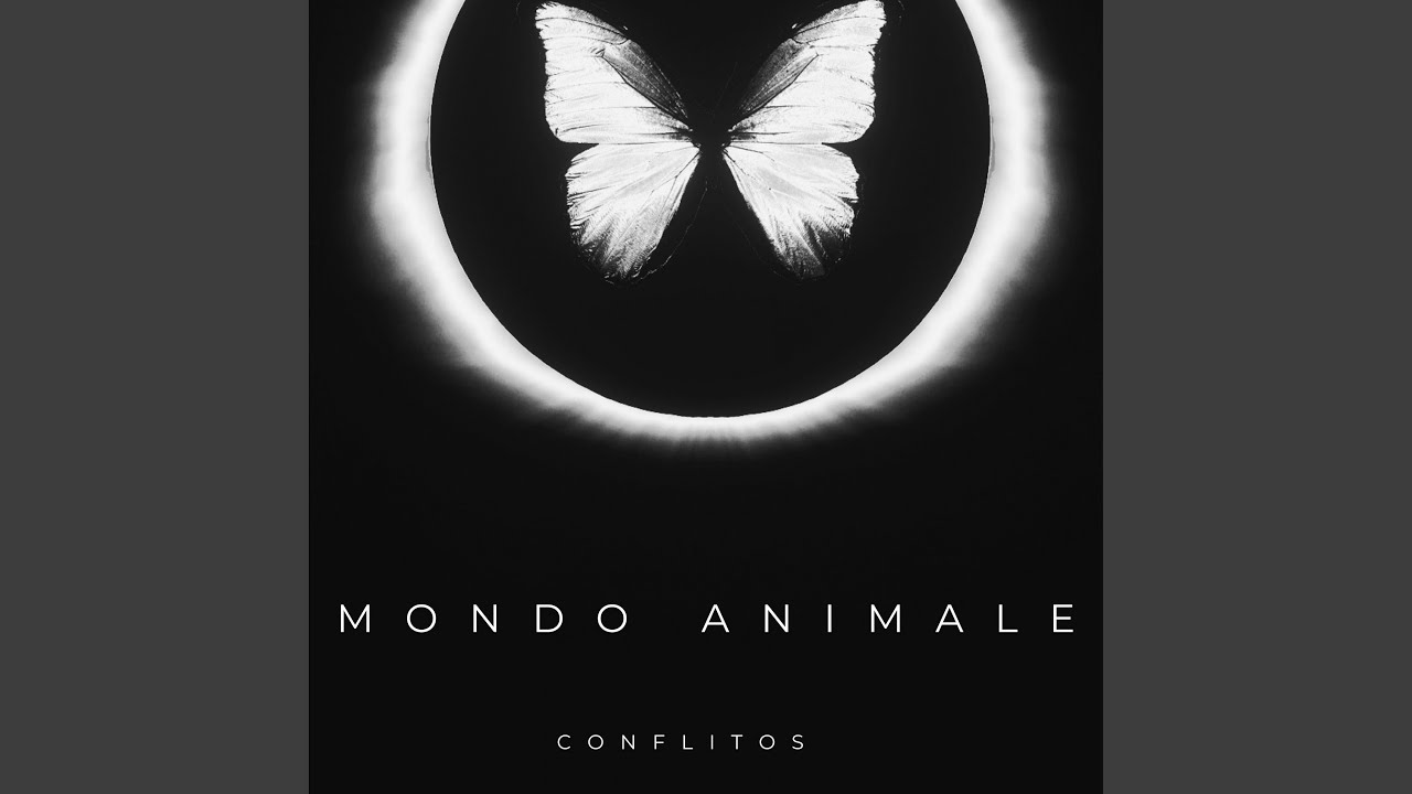Mondo Animale - YouTube