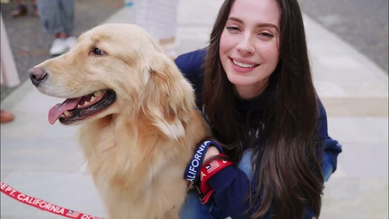 DOGDEPT 2022AW - YouTube