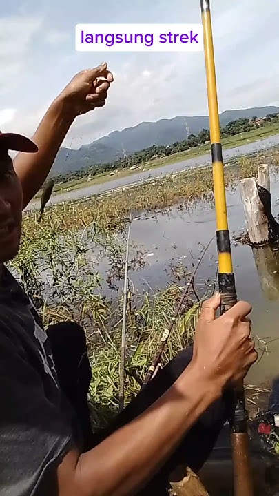 Proses pembuatan lapak mancing nguntul - YouTube