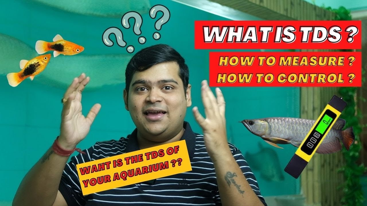 PROPER WATER FOR YOUR FISH || TDS OF AQUARIUM || AQUARIUM WATER QUALITY ...
