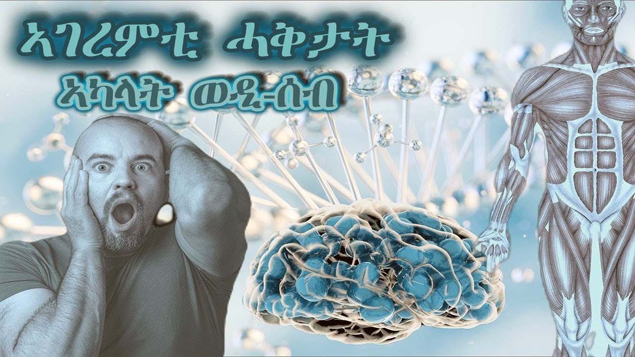 Qemem Hiwet/ ኣገረምቲ ሓቅታት ኣካላት ወዲ-ሰብ/ ንኣፍልጦ - YouTube