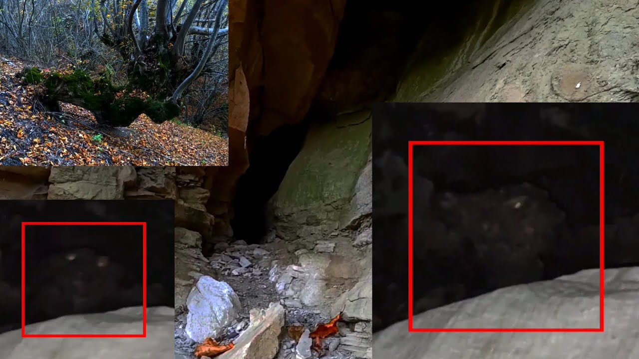 Chupacabras caught on camera. what is this cryptids chupacabra or unknown creatures in the ...