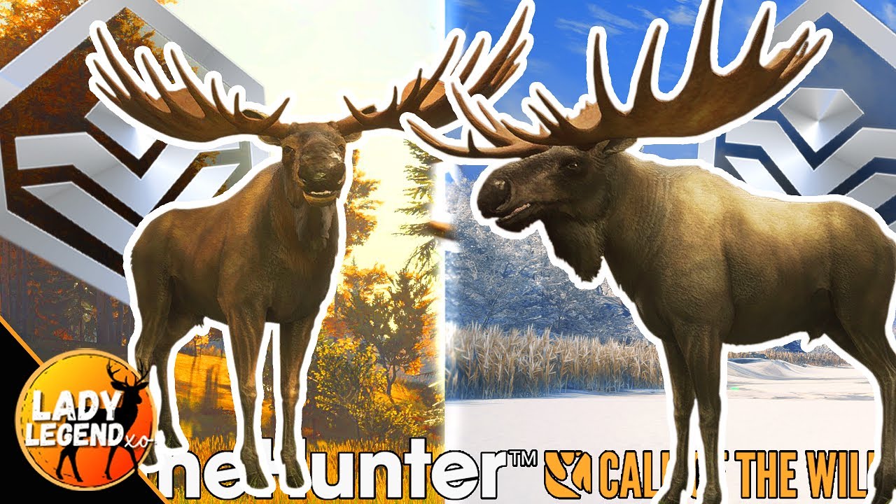 MOST SHOCKING MONSTER MOOSE HUNT in 5 YEARS!!! - Call of the Wild - YouTube