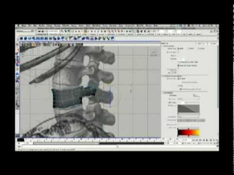 Modeling a Skeleton: Part 1, the Vertebrae - YouTube