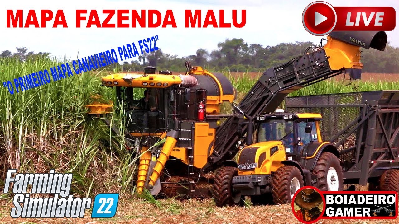 🔴 LIVE COLHEITA DE CANA NA FAZENDA MALU || FRENTE DA USINA BUNG ...