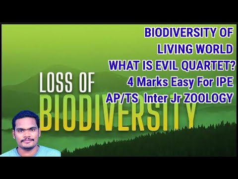 What is Evil Quartet? 4 marks Important Inter Jr Zoology - YouTube