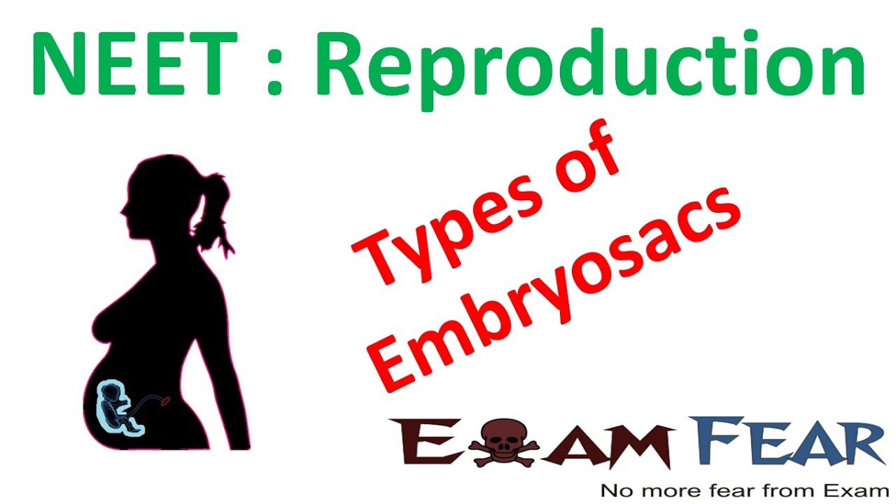 NEET Biology Reproduction : Types of Embryosacs (Monosporic, Bisporic ...