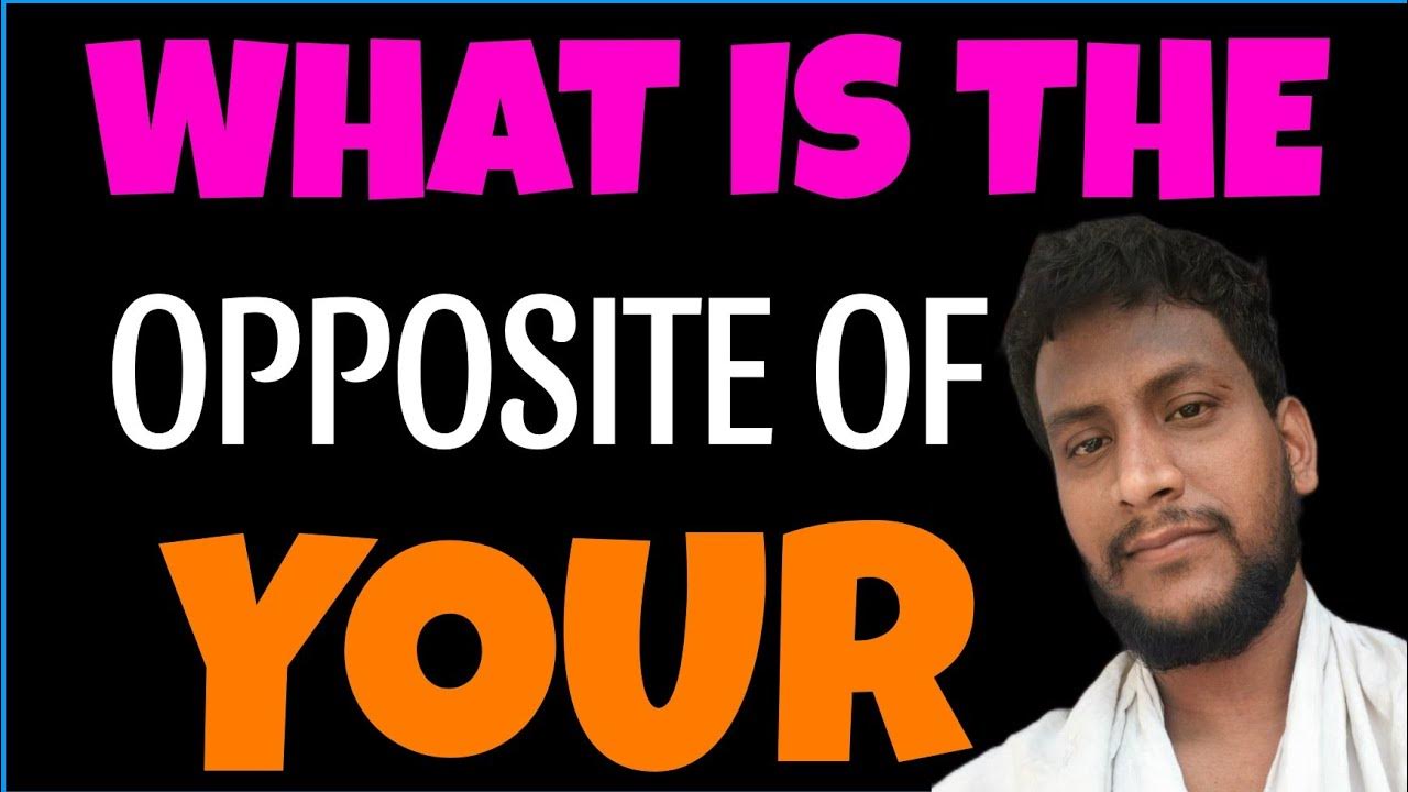 Your Ka Opposite Word Your Ka Opposite What Is The Opposite Of Your your-ka-opposite-word-your-ka-opposite-what-is-the-opposite-of-your