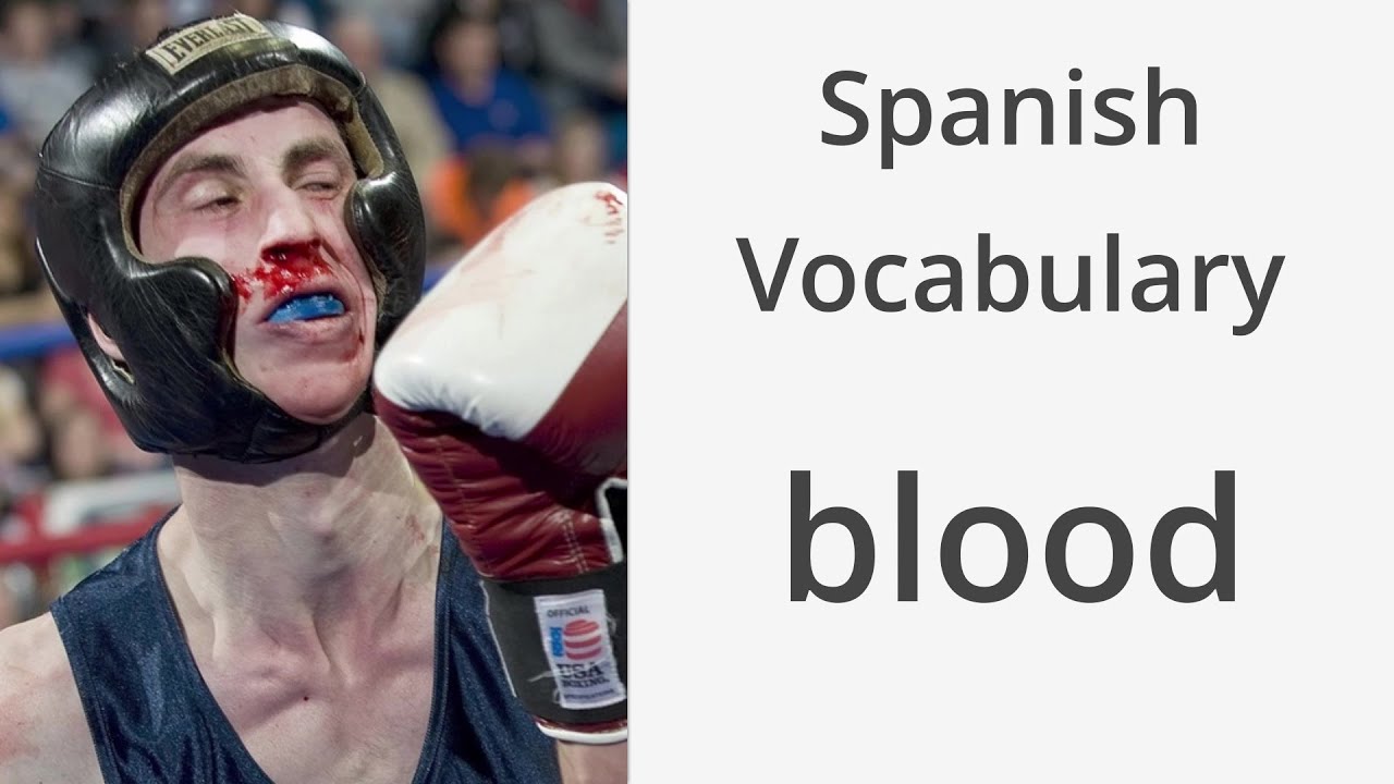 How To Say Blood In Spanish YouTube how-to-say-blood-in-spanish-youtube