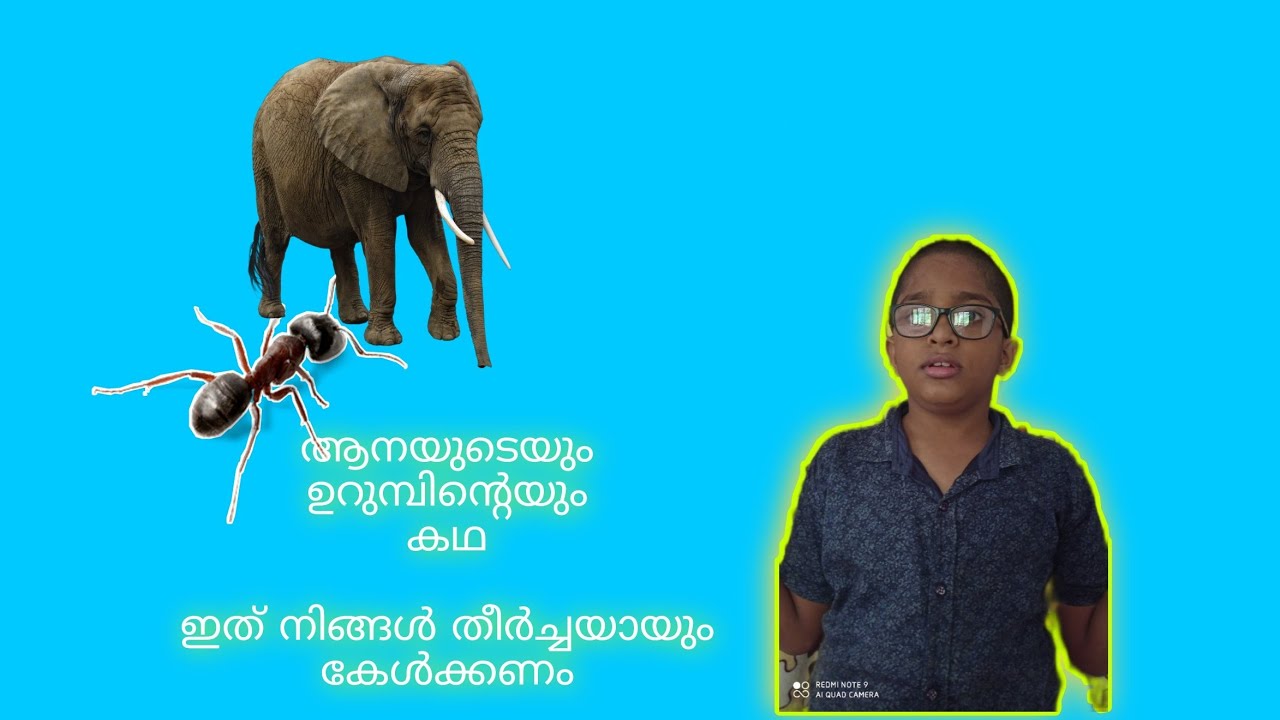 elephant VS ant story(story telling by nadeed mazin) - YouTube