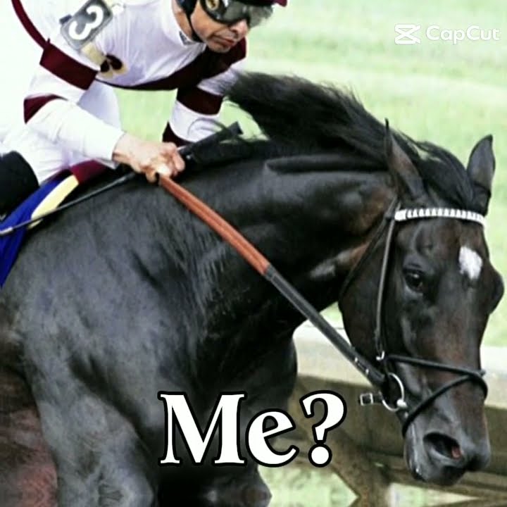 YES 💘 #horse #horseracing #racehorse #royaldelta - YouTube