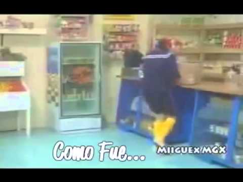 GATO EMILIO :) - YouTube