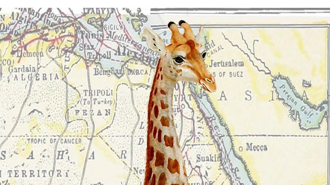 Zheng He Giraffe