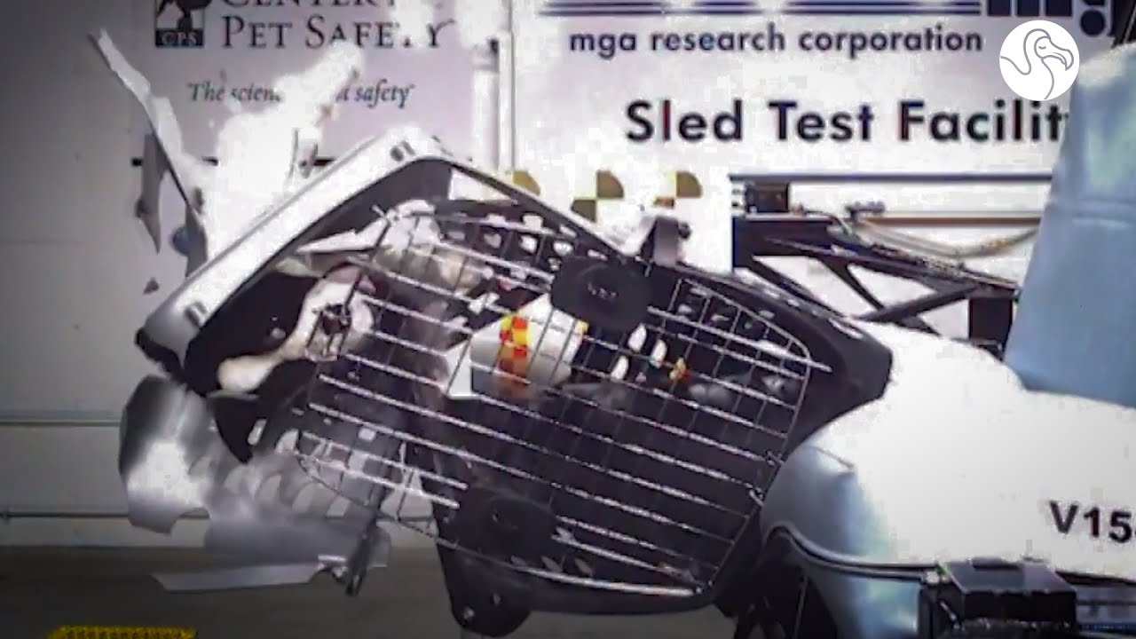 Most Pet Safety Seats Failed This Test - YouTube