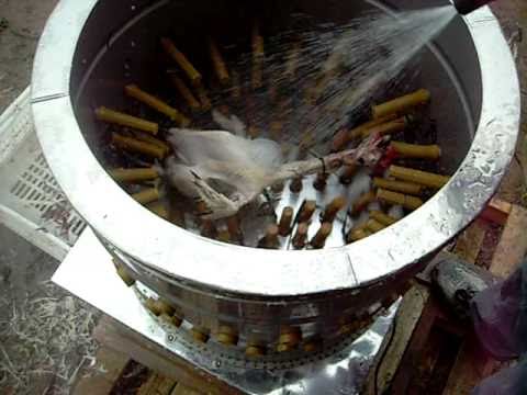 Αποπτιλωτήρας/www.kotes.gr /Ξεπουπουλιασμα /Spiumatrice/ Plucker ...