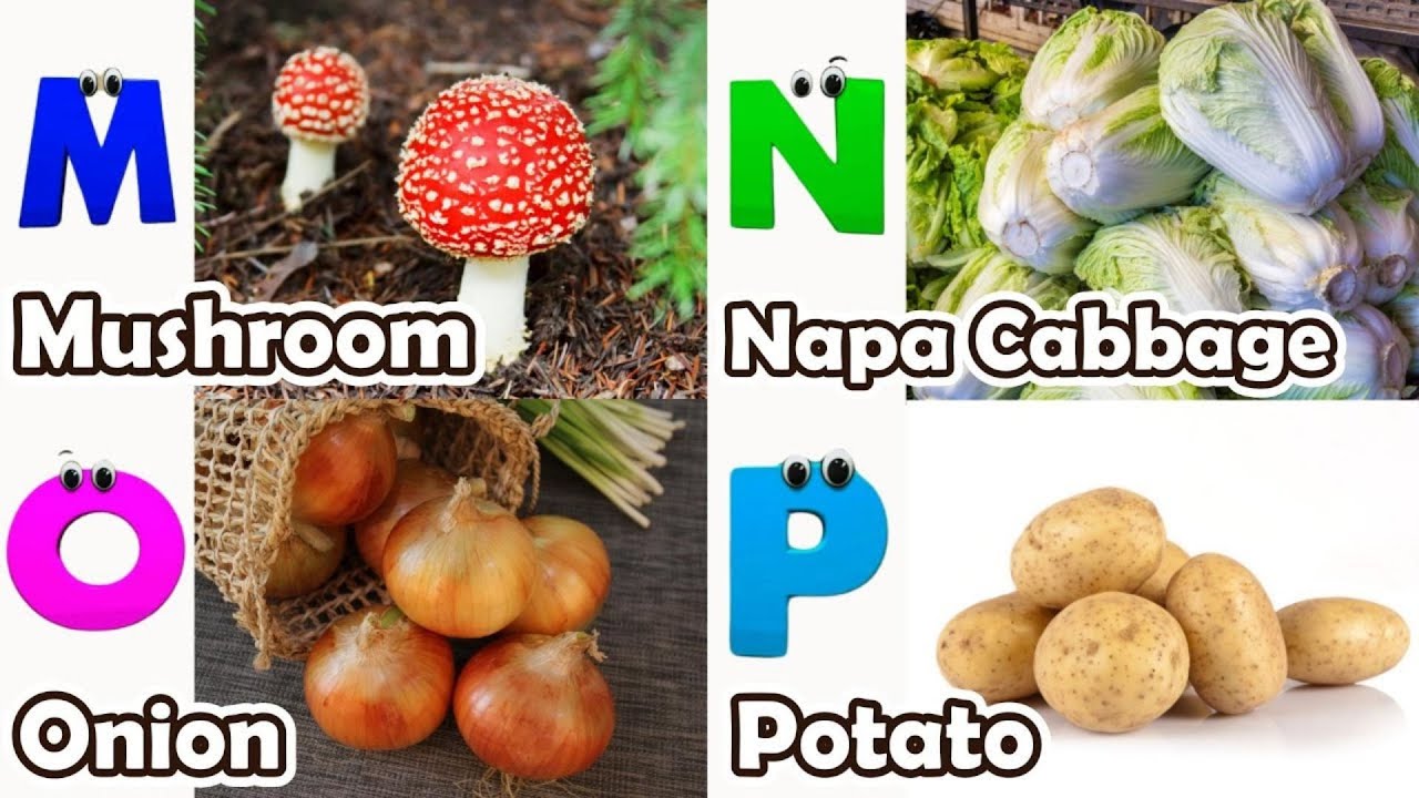 Vegetables ABC Song | Vegetables Alphabet Song | Phonics for Kids ...