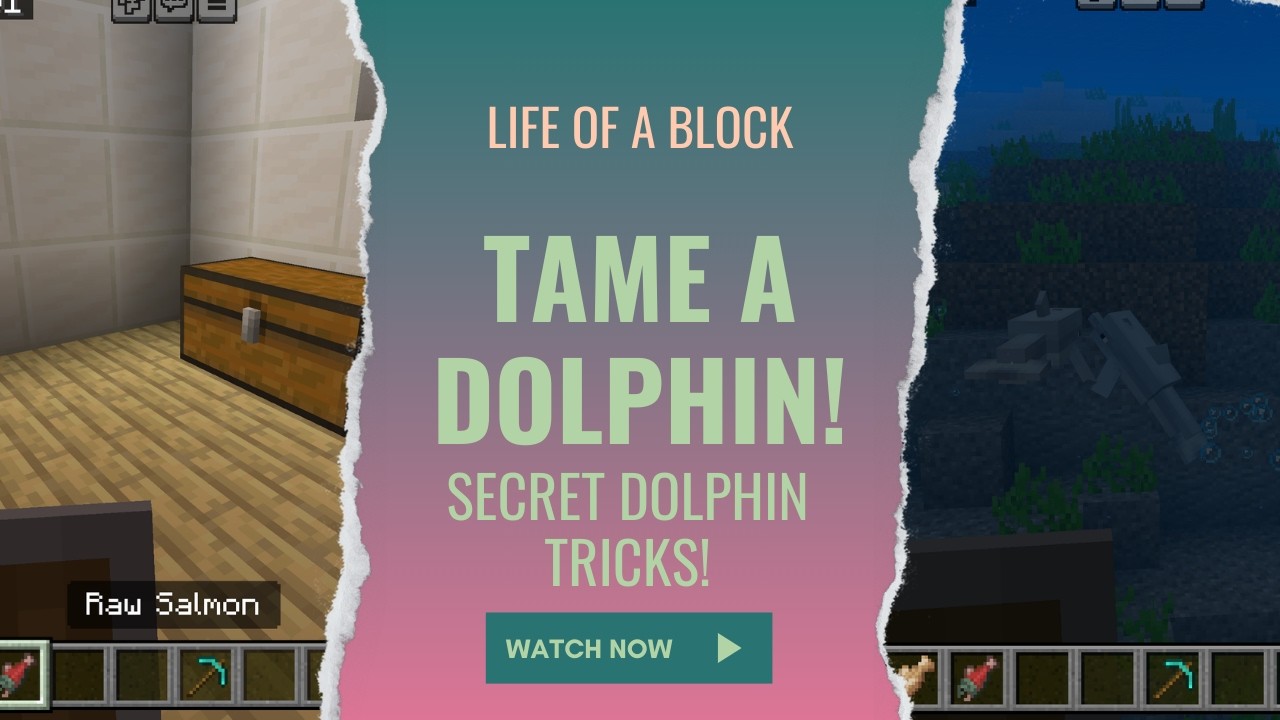 How to Tame a Dolphin in Minecraft! (Secret Dolphin Tricks) - YouTube