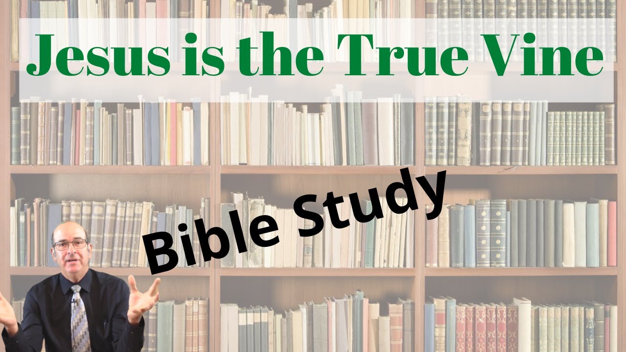 Jesus Is The True Vine We Are The Branches Bible Study Of John 15 1 8