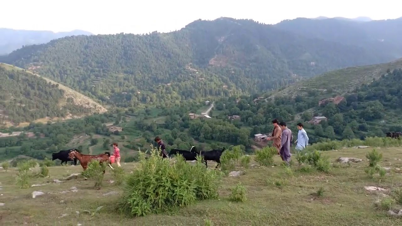Trip to Tirah Valley KPK Khyber Agency - YouTube