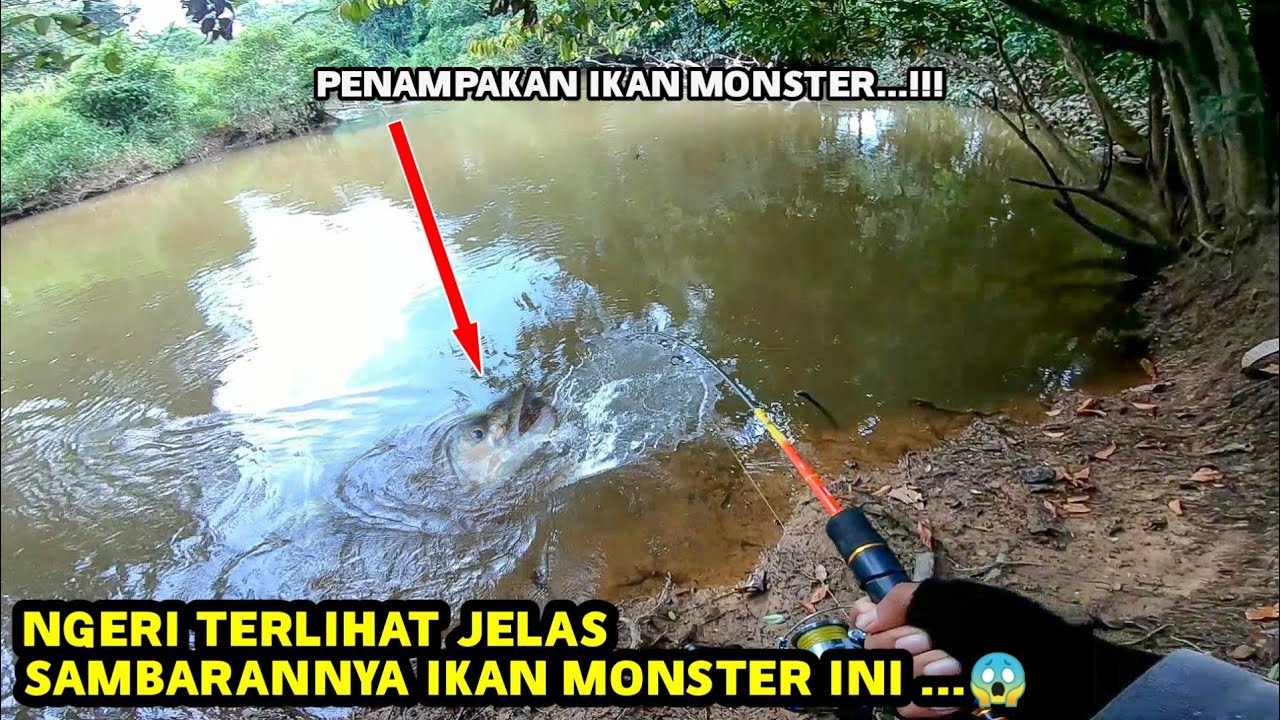 ASLI MERINDING ⁉️ Top Water Pencil 5,5 gram vs Ikan hampala Monster ...