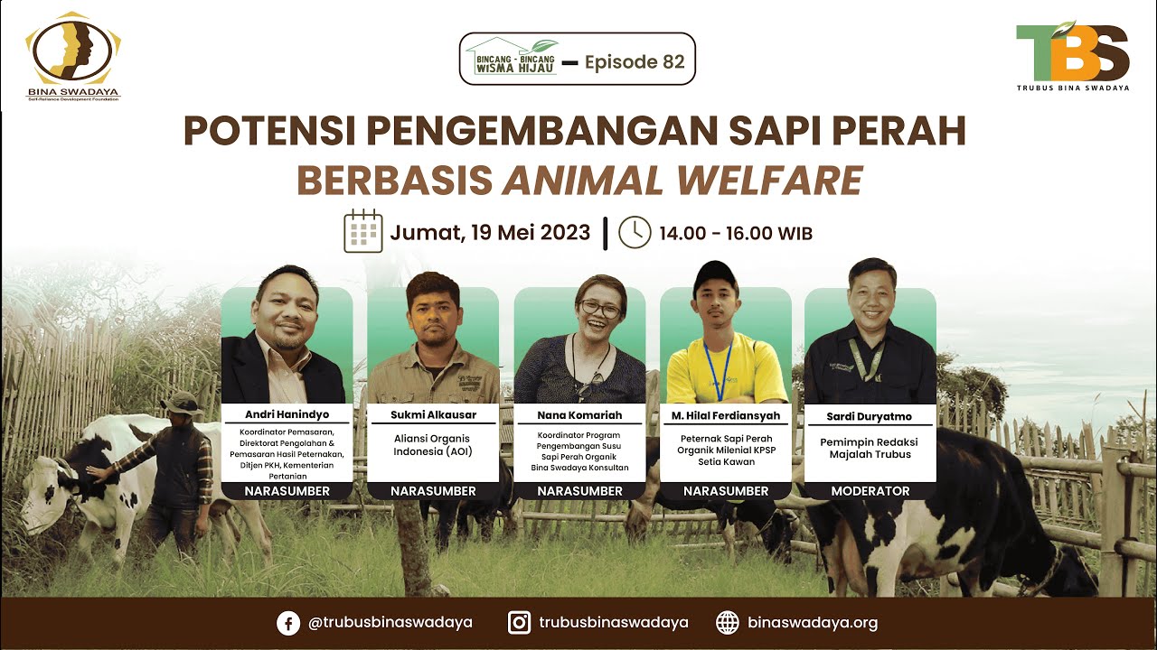 BBWH #82 - POTENSI PENGEMBANGAN SAPI PERAH BERBASIS ANIMAL WELFARE ...