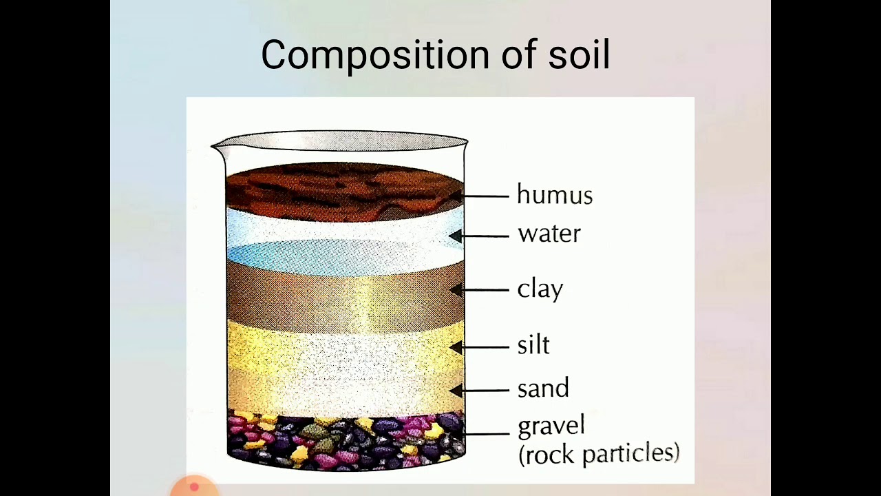 Class 7 SCIENCE SOIL PART 1 YouTube class-7-science-soil-part-1-youtube