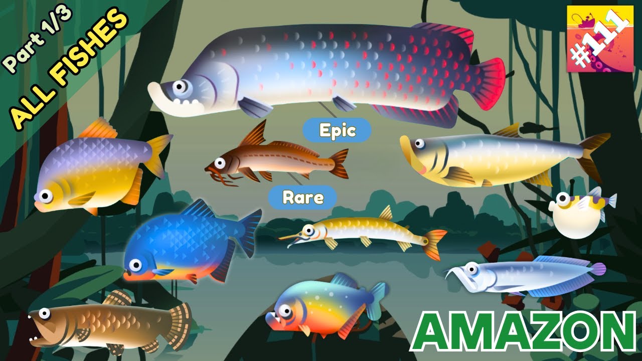 Creatures Of The Deep : All Fishes in Amazon (1/3) - YouTube